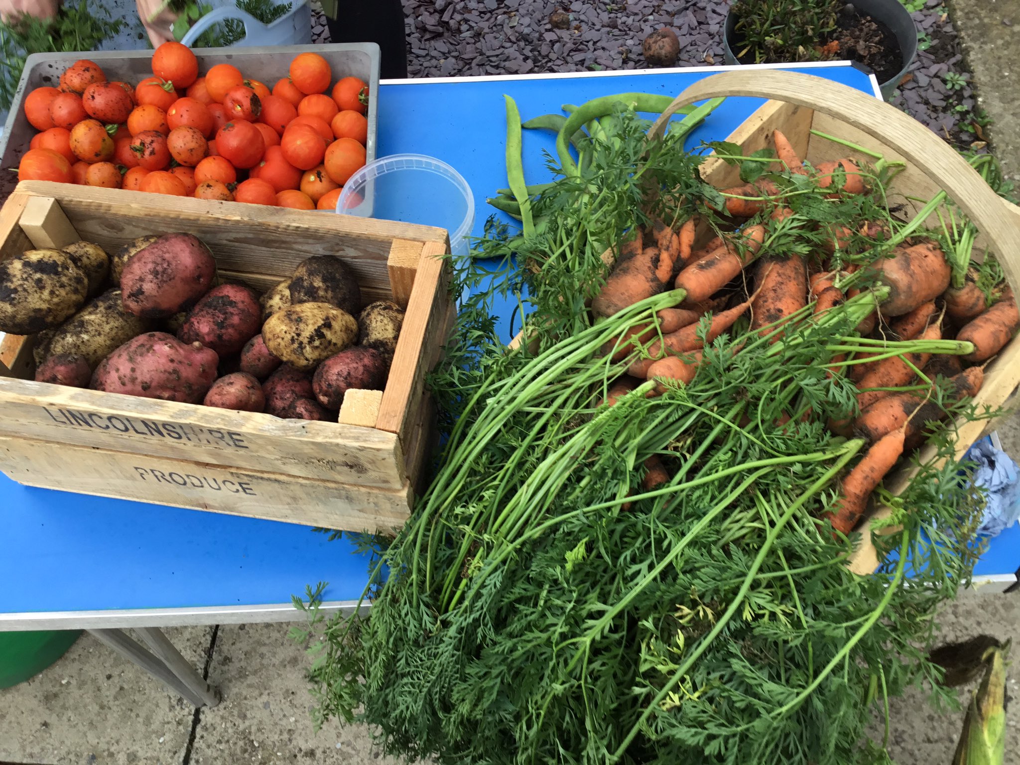 From Farm to Fork - Welton St Mary's Academy
